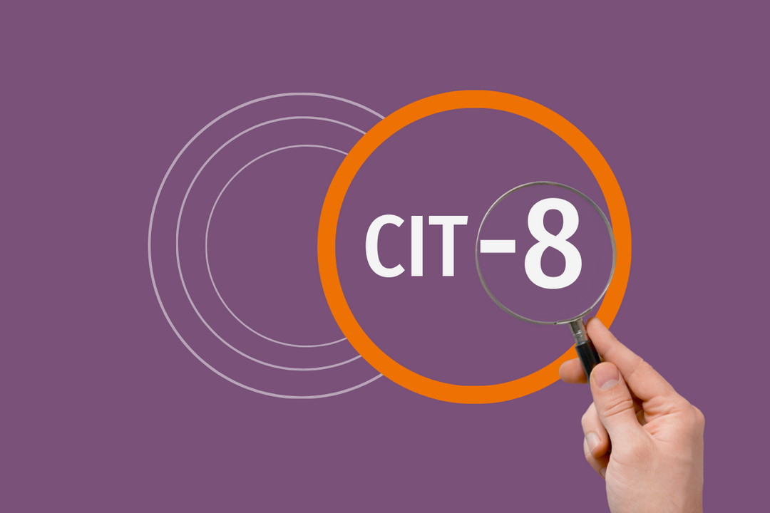 W PORADNIK.NGO.PL: Jak wypełnić CIT-8 w 2022 roku? - Artykuł - ngo.pl