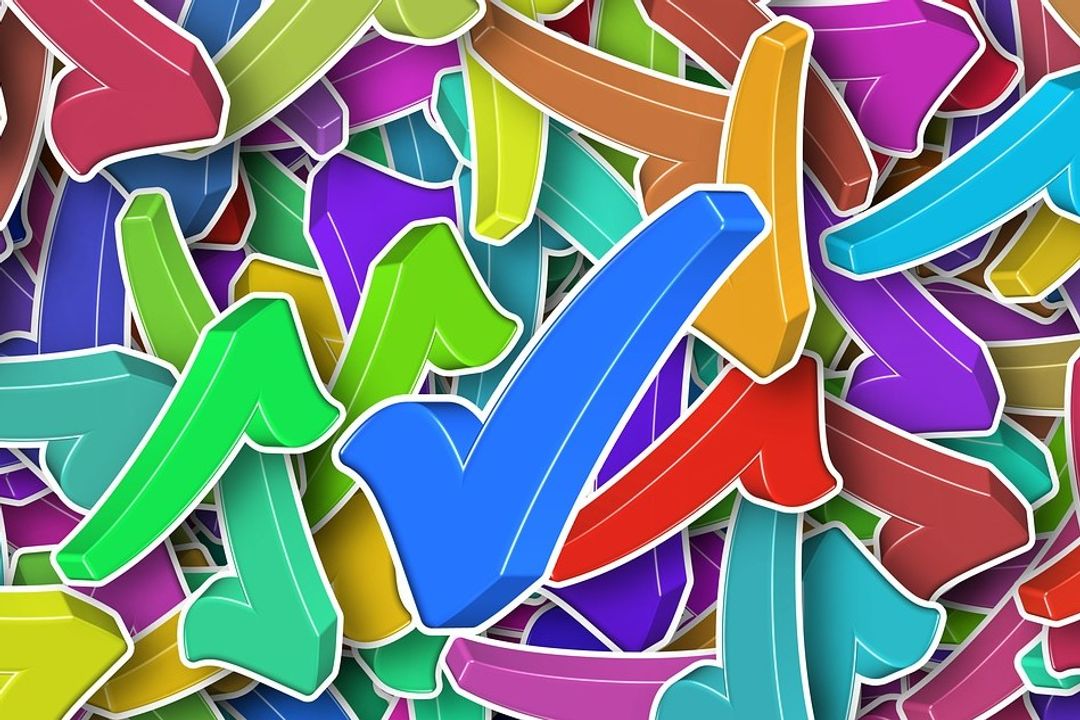 Kto i co sprawdza w NGO? PIP i ZUS - Artykuł - ngo.pl