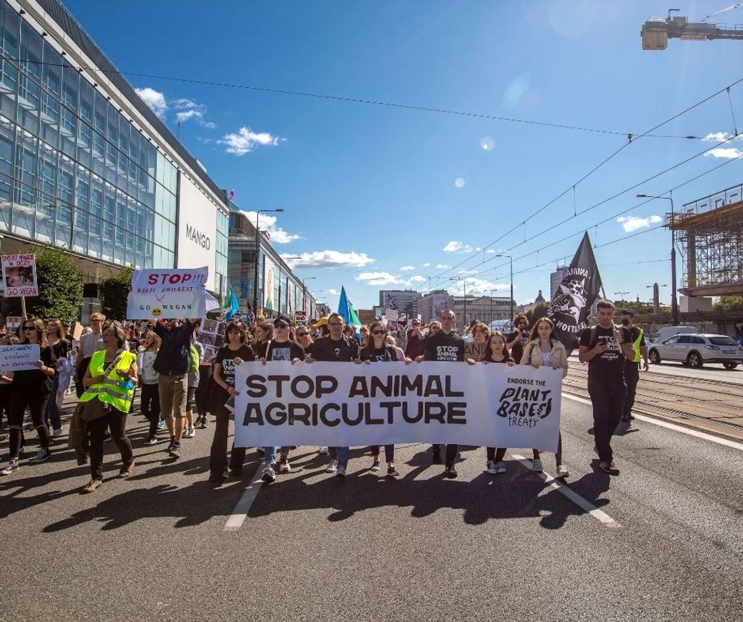 Marsz Wyzwolenia Zwierząt w Warszawie - Artykuł - ngo.pl Marsz Wyzwolenia Zwierząt w Warszawie - Artykuł - ngo.pl