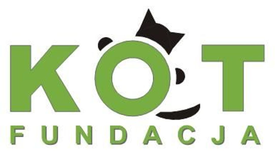 Fundacja KOT - Koty Otoczone Troską - Profil - ngo.pl